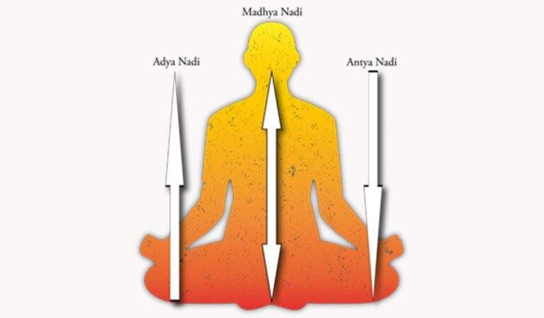 Adi, Madhya & Antya Nadi Dosha In Kundli Milan
